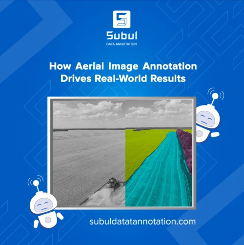 Expert Aerial Image Annotation Services | Subul Data Annotation