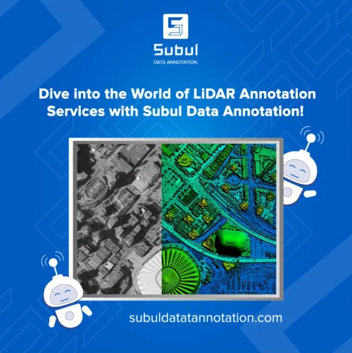 Top LiDAR Annotation Service | Accurate & Reliable Data