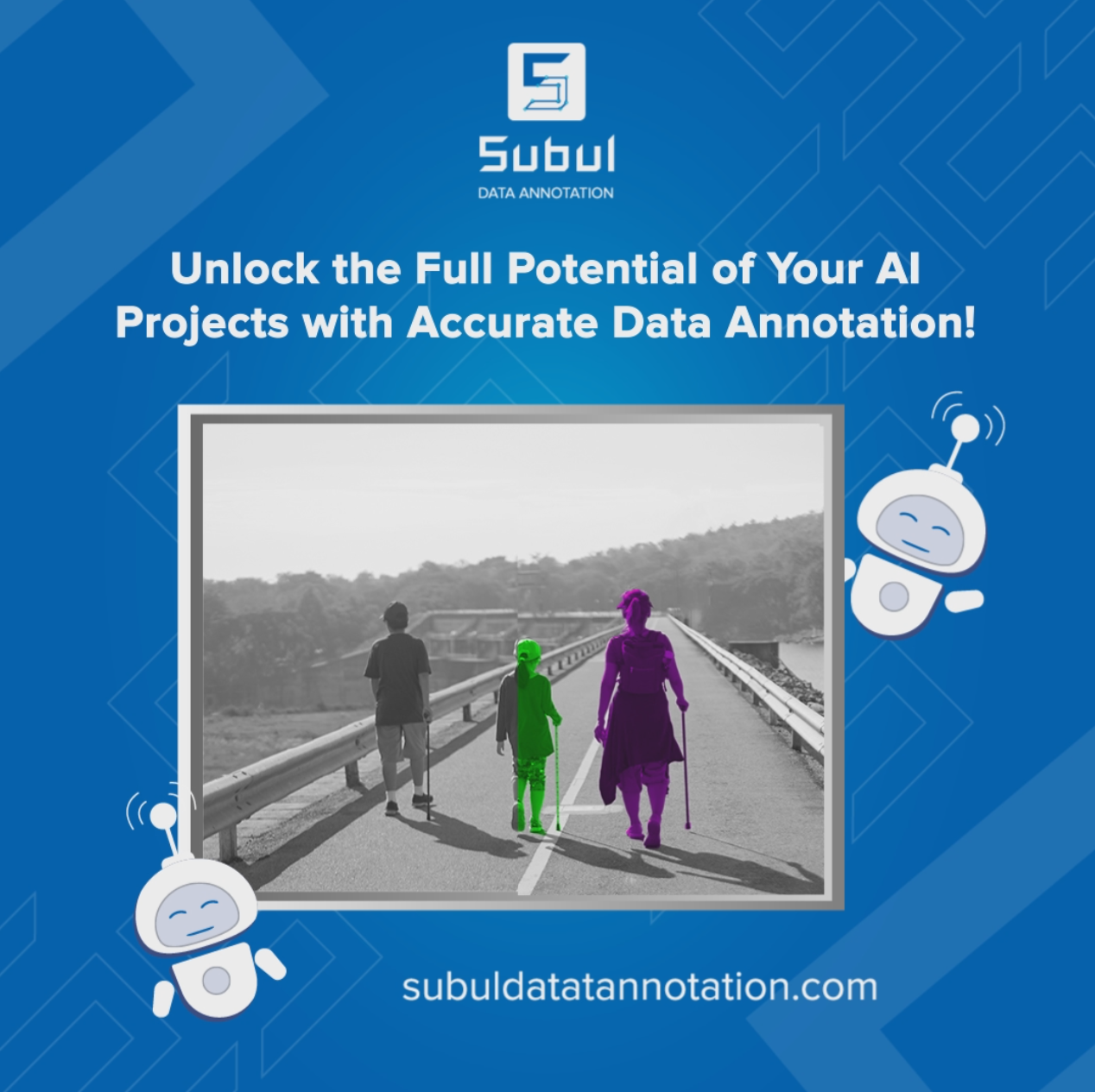 Enhance Your AI with Expert Subul Data Annotation Services