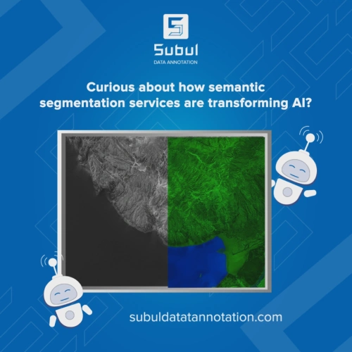 What Are The Benefits Of Semantic Segmentation Services For Ai