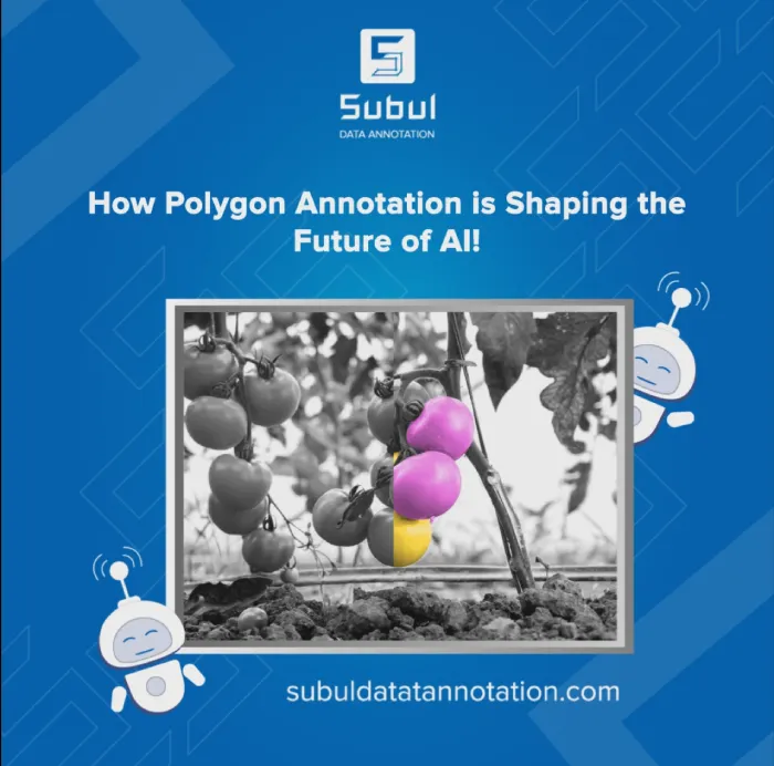 Polygon Annotation Services: Precise Data Labeling for AI Polygon Annotation Services: Precise Data Labeling for AI