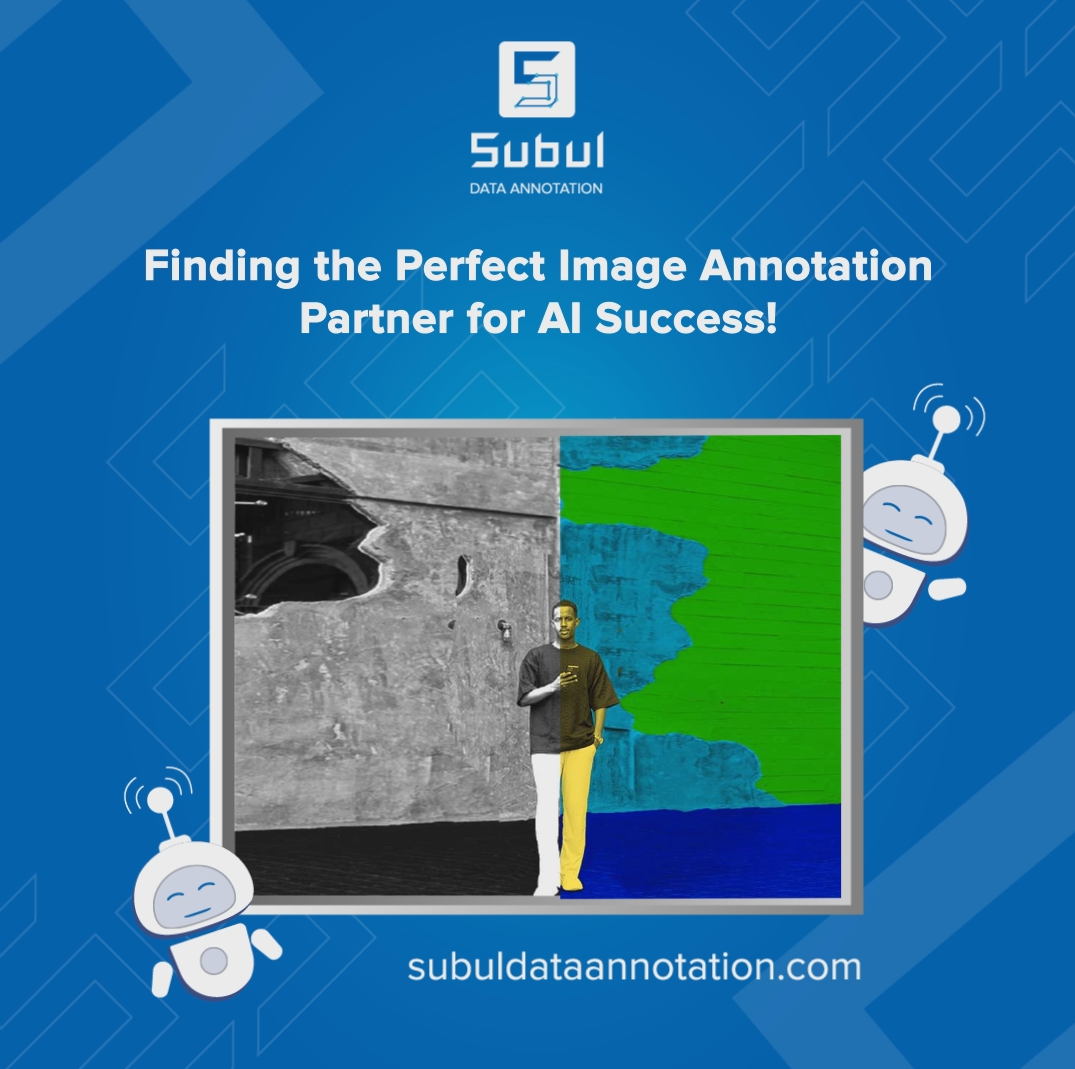Top Image Annotation Companies: How to Choose the Best Partner
