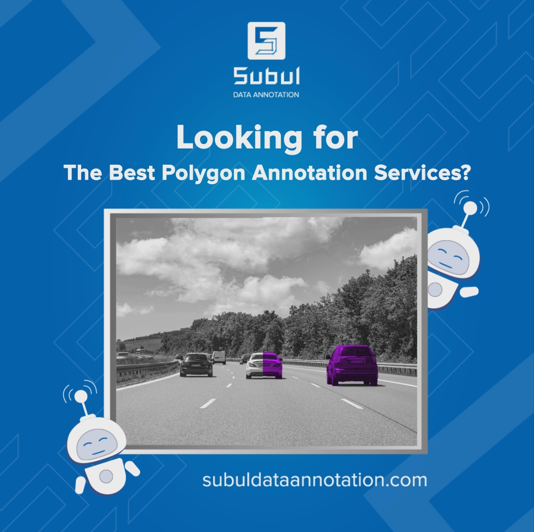 Best Polygon Annotation Services for Accurate AI Models